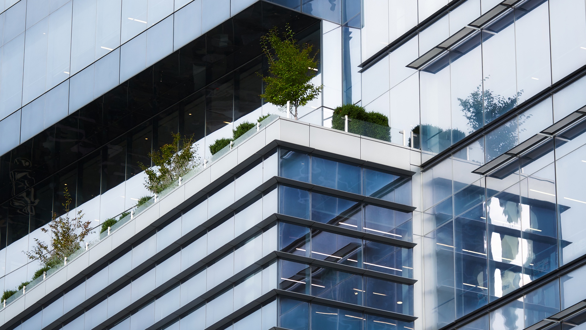 Real Estate, Exterior / Interior Design Photography - Robert Atkinson